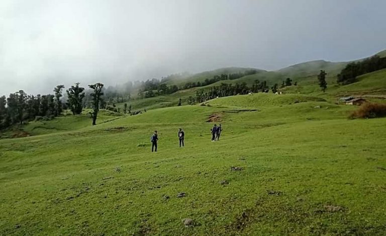 Bugyals in Uttarakhand - A Guide to the Himalayan Meadows